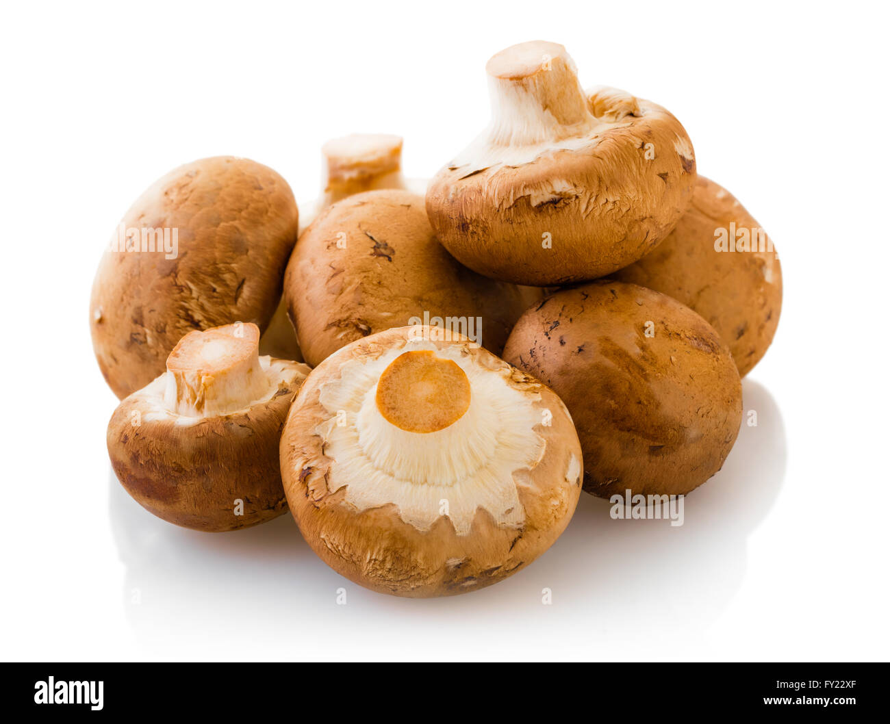 natural mushrooms champignons isolated on white background Stock Photo ...