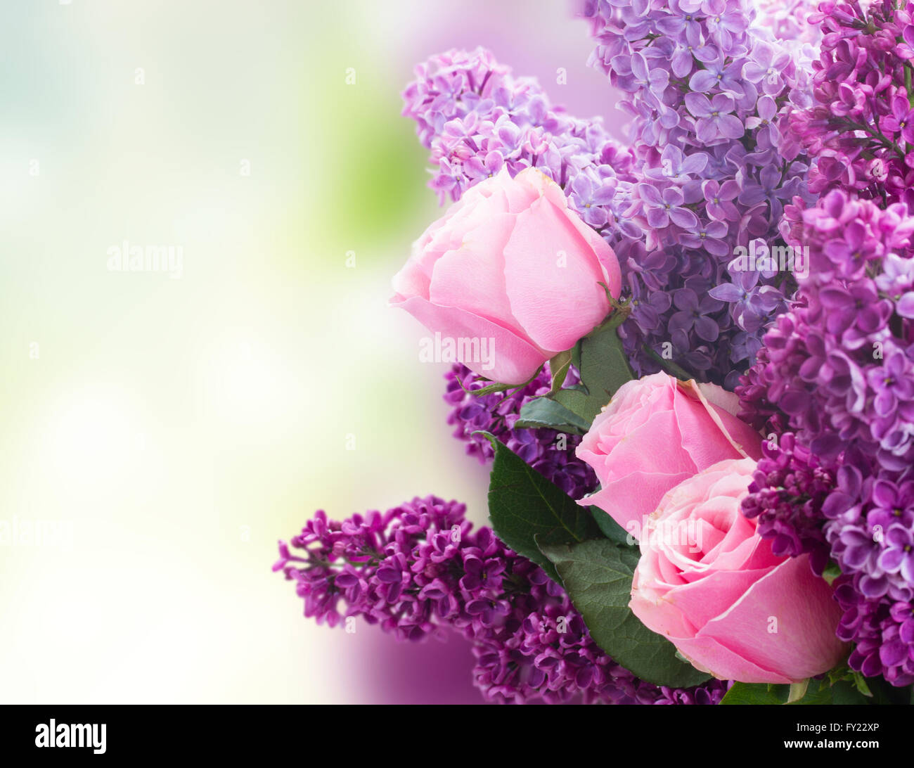 Lilac flowers with roses Stock Photo - Alamy