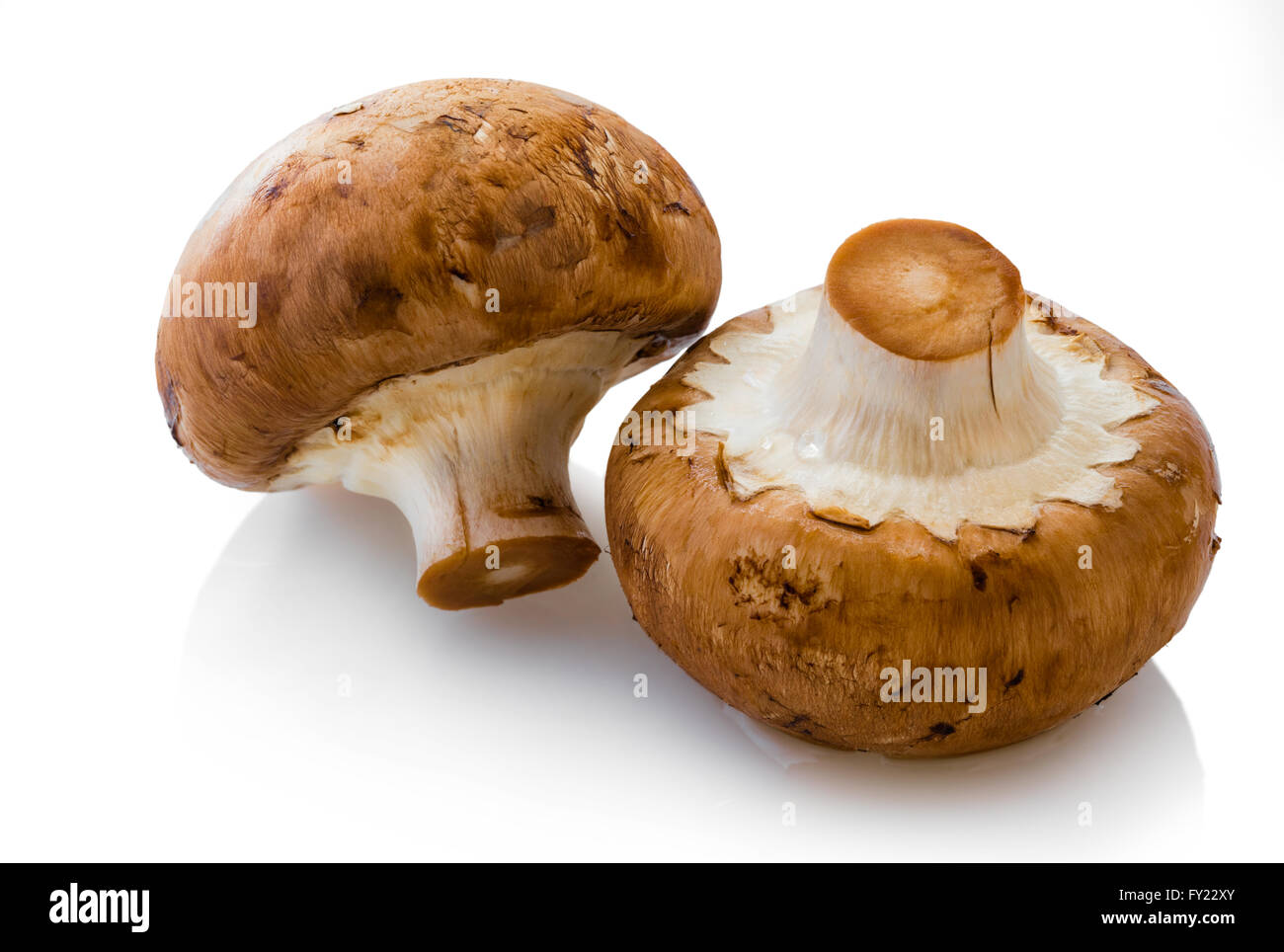 natural mushrooms champignons isolated on white background Stock Photo ...