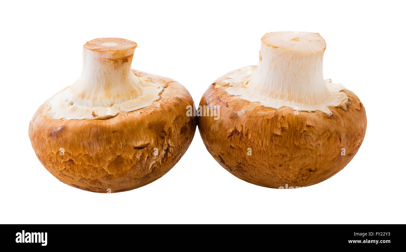 natural mushrooms champignons isolated on white background Stock Photo ...