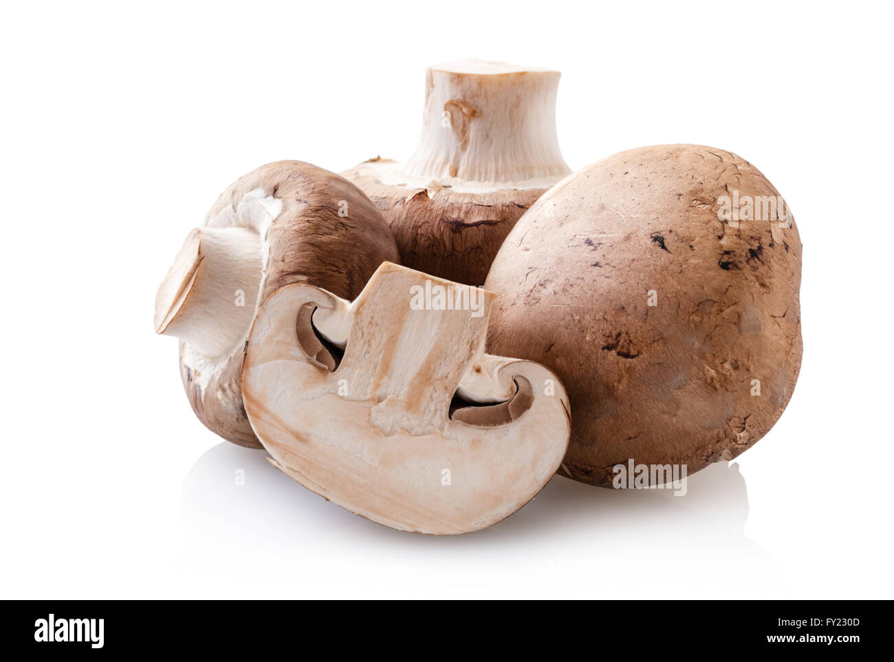 natural mushrooms champignons isolated on white background Stock Photo ...