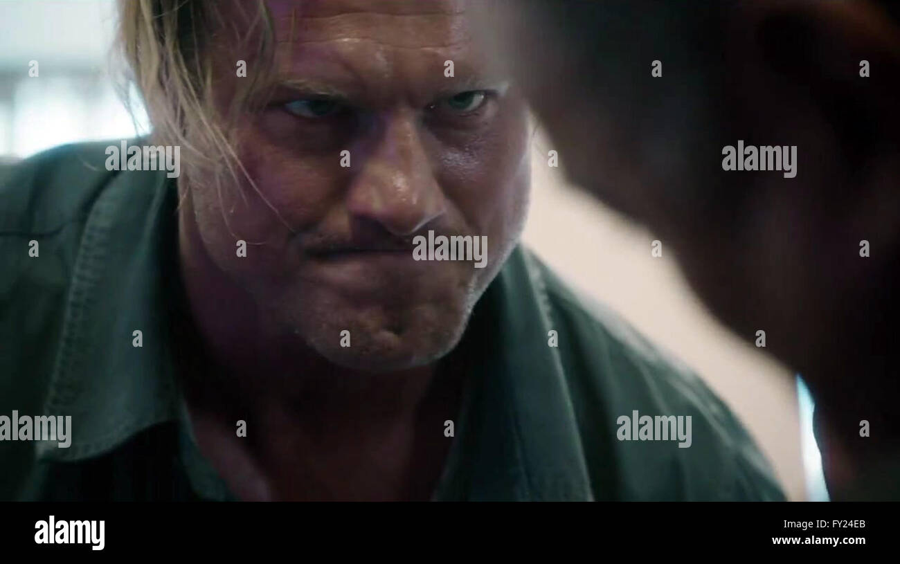 Katharine isabelle hi-res stock photography and images - Alamy