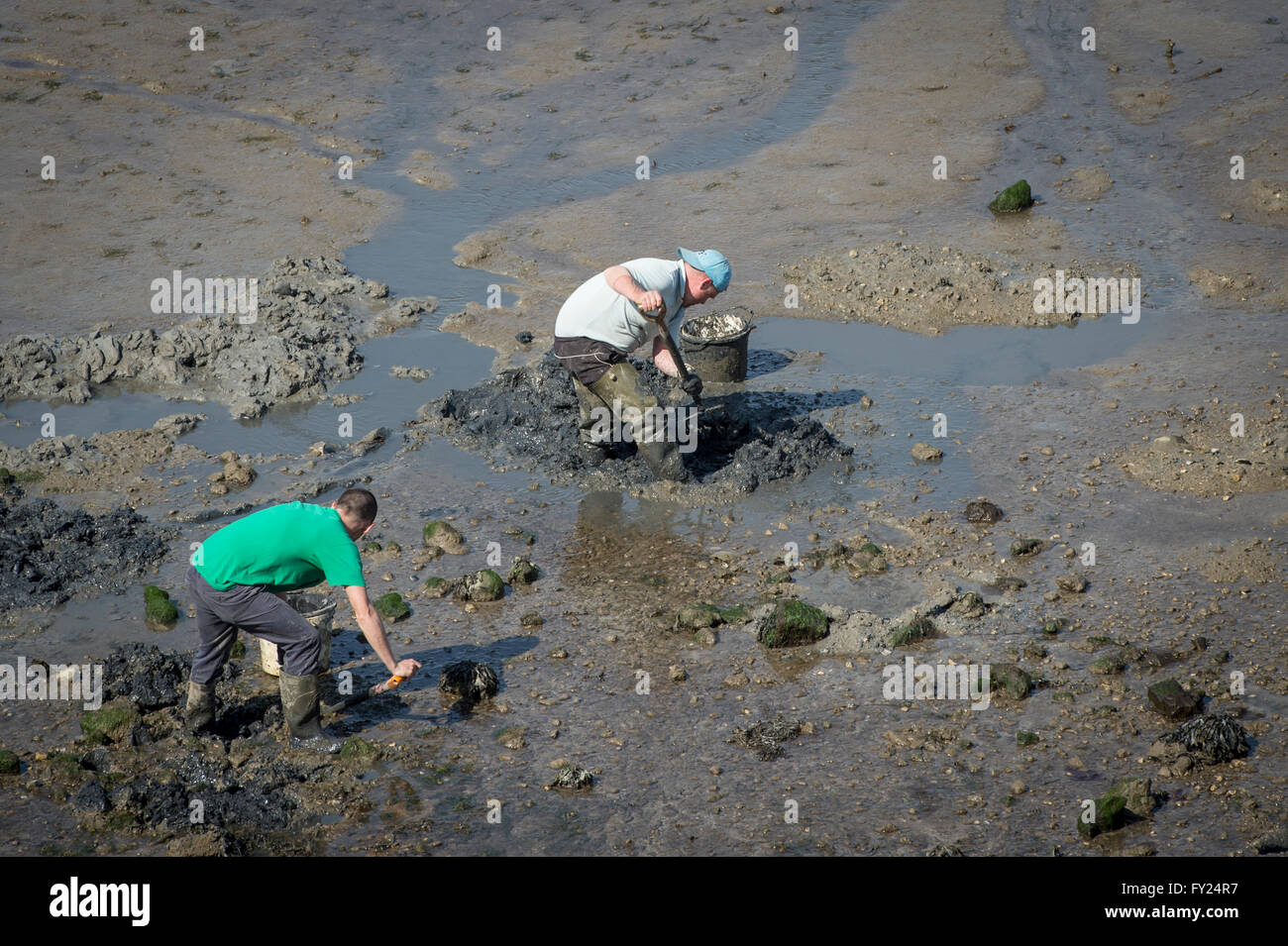 Bait Digging Beach High Resolution Stock Photography and Images - Alamy