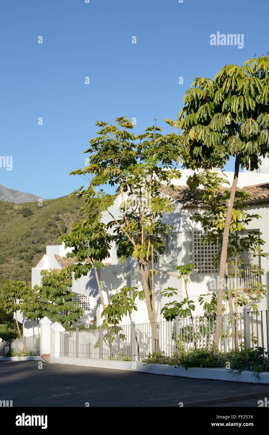White Andalusian traditional house in Marbella, Andalusia, Spain Stock ...