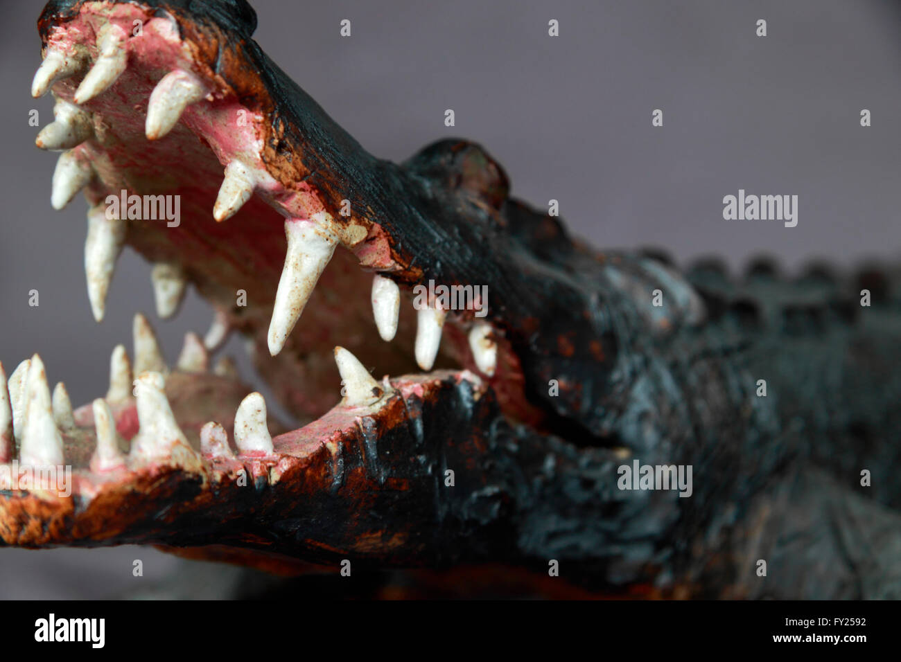 Ceramic Alligator High Resolution Stock Photography and Images - Alamy