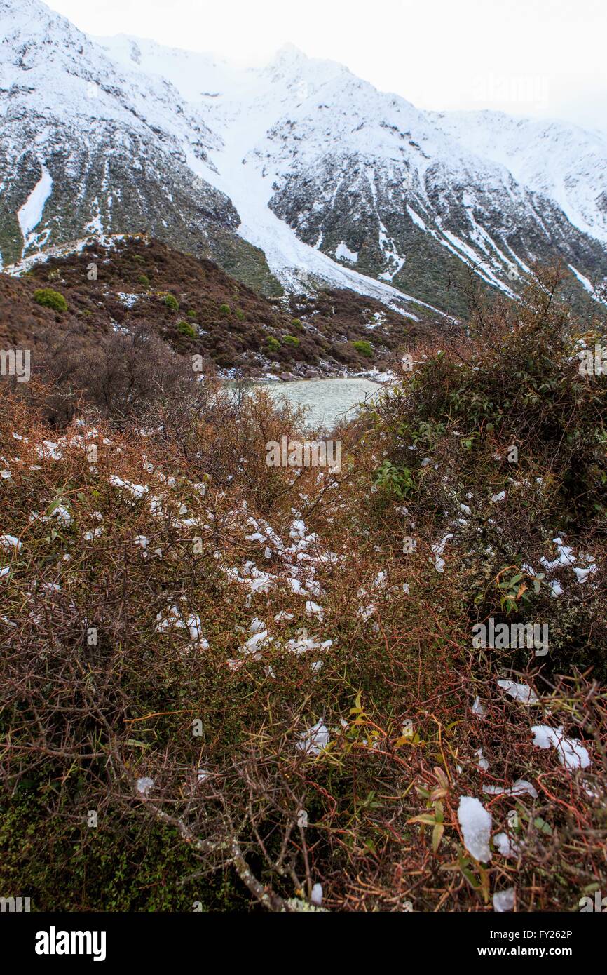 Kea point track hi-res stock photography and images - Alamy