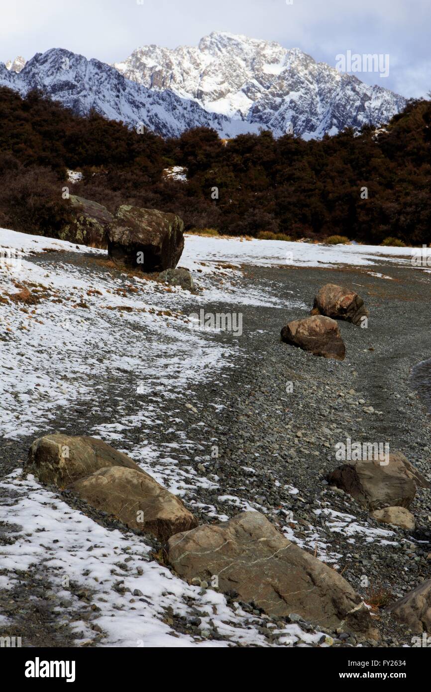 Kea Point Track, Mt Cook National Park, South Island, New Zealand Stock ...