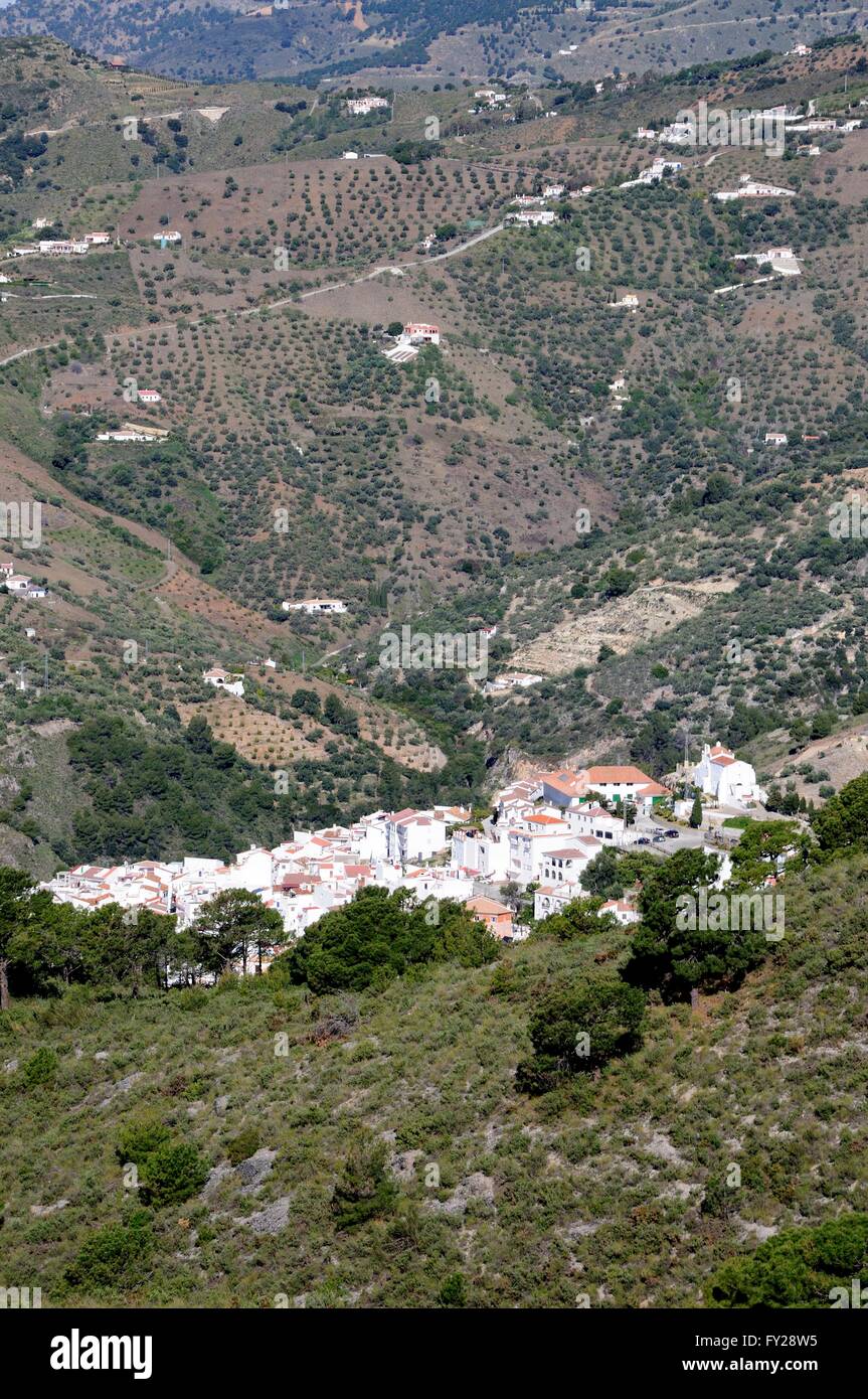 Mooriah hi-res stock photography and images - Alamy