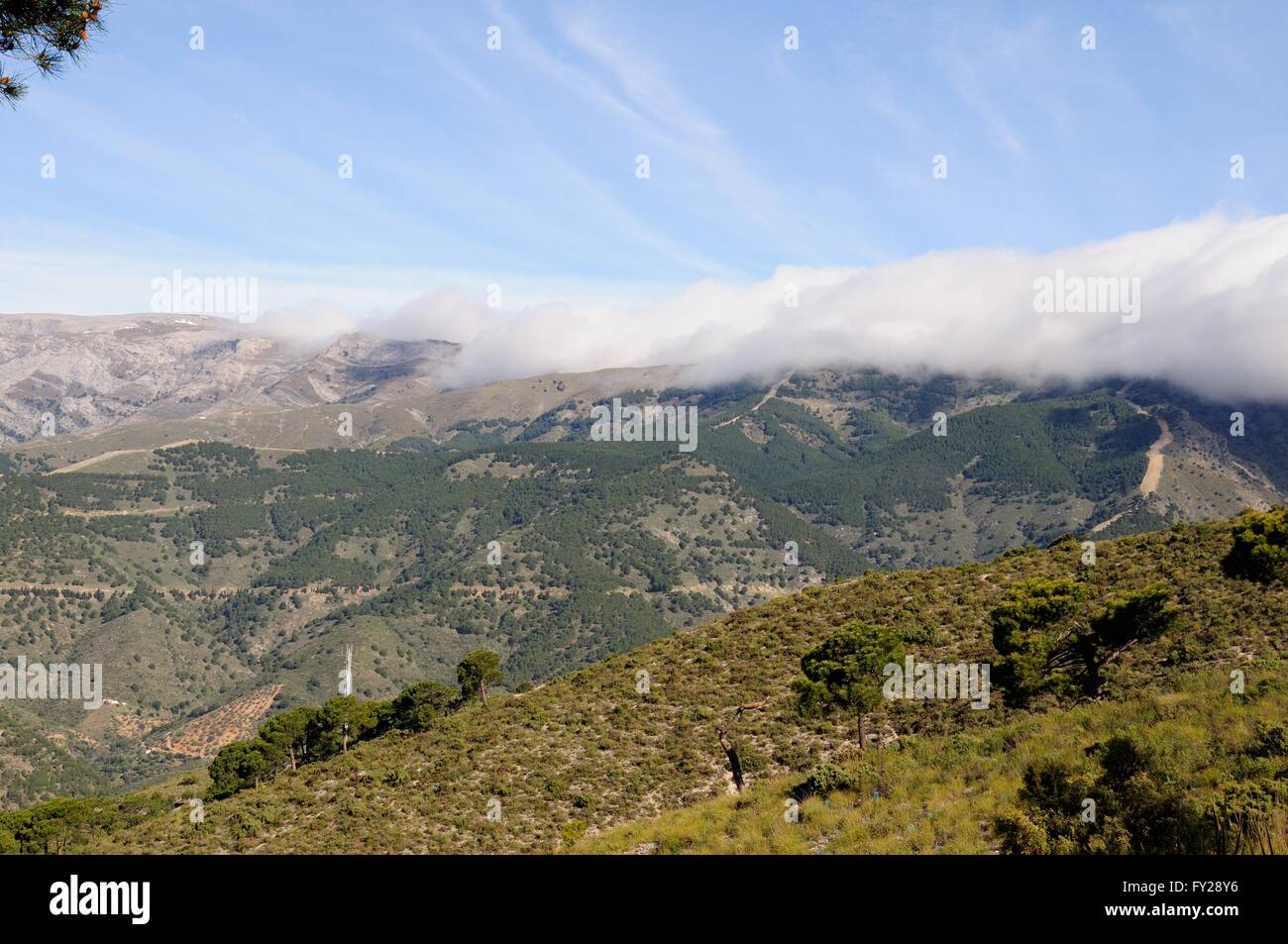 Tejeda park national hi-res stock photography and images - Alamy