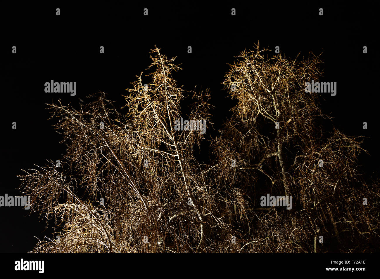 Scary drive hi-res stock photography and images - Alamy