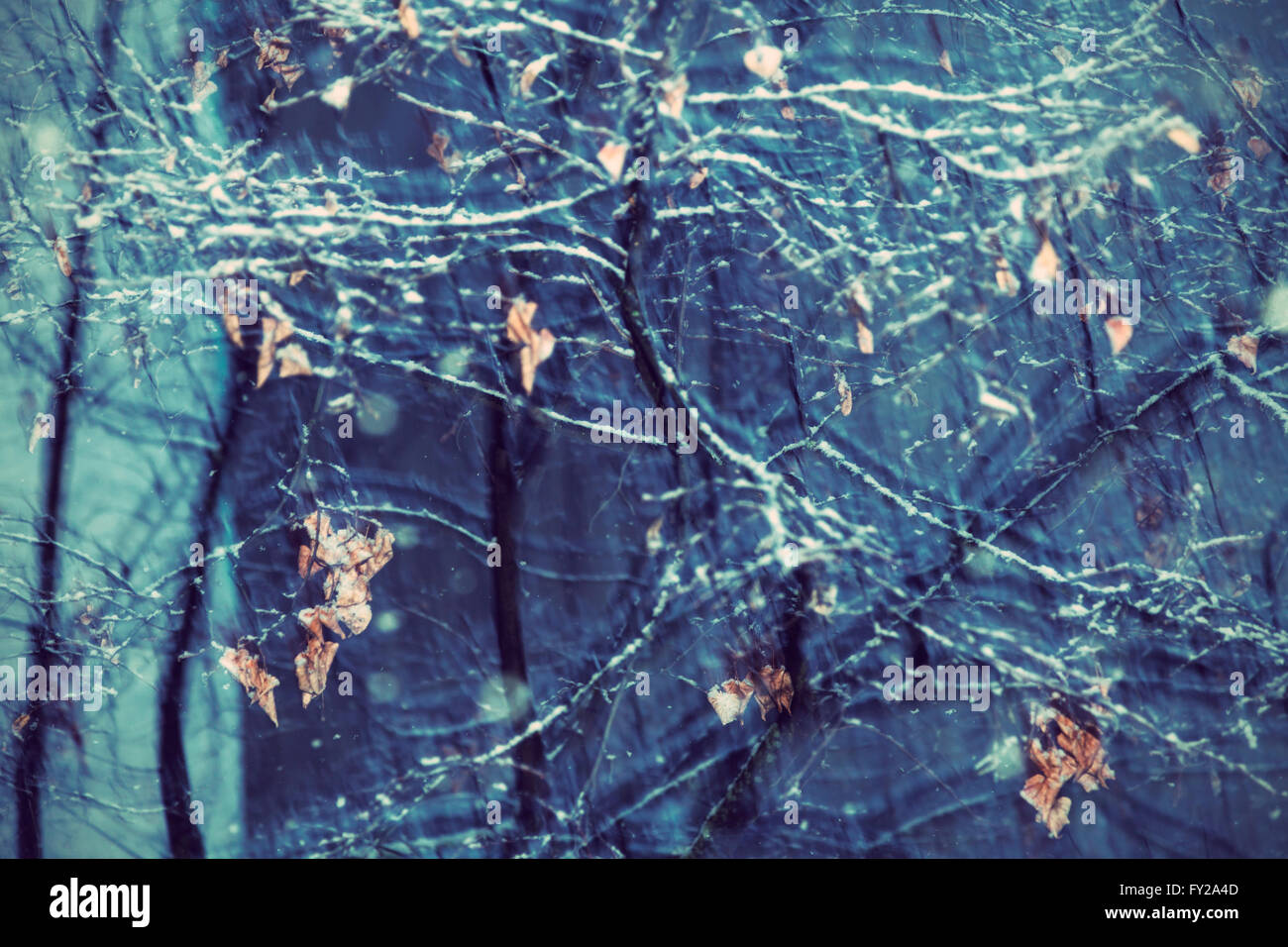 Flurry hi-res stock photography and images - Alamy