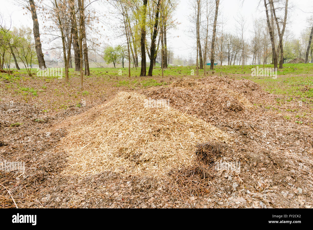 A heap of various crushed branches and leaves to prepare compost under ...