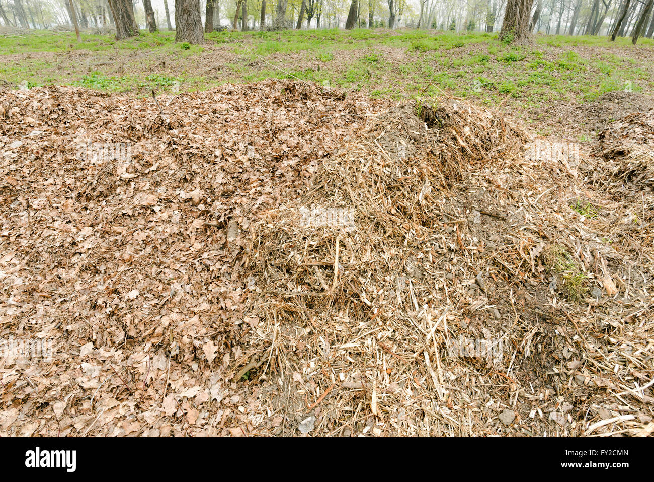 A heap of various crushed branches and leaves to prepare compost under ...