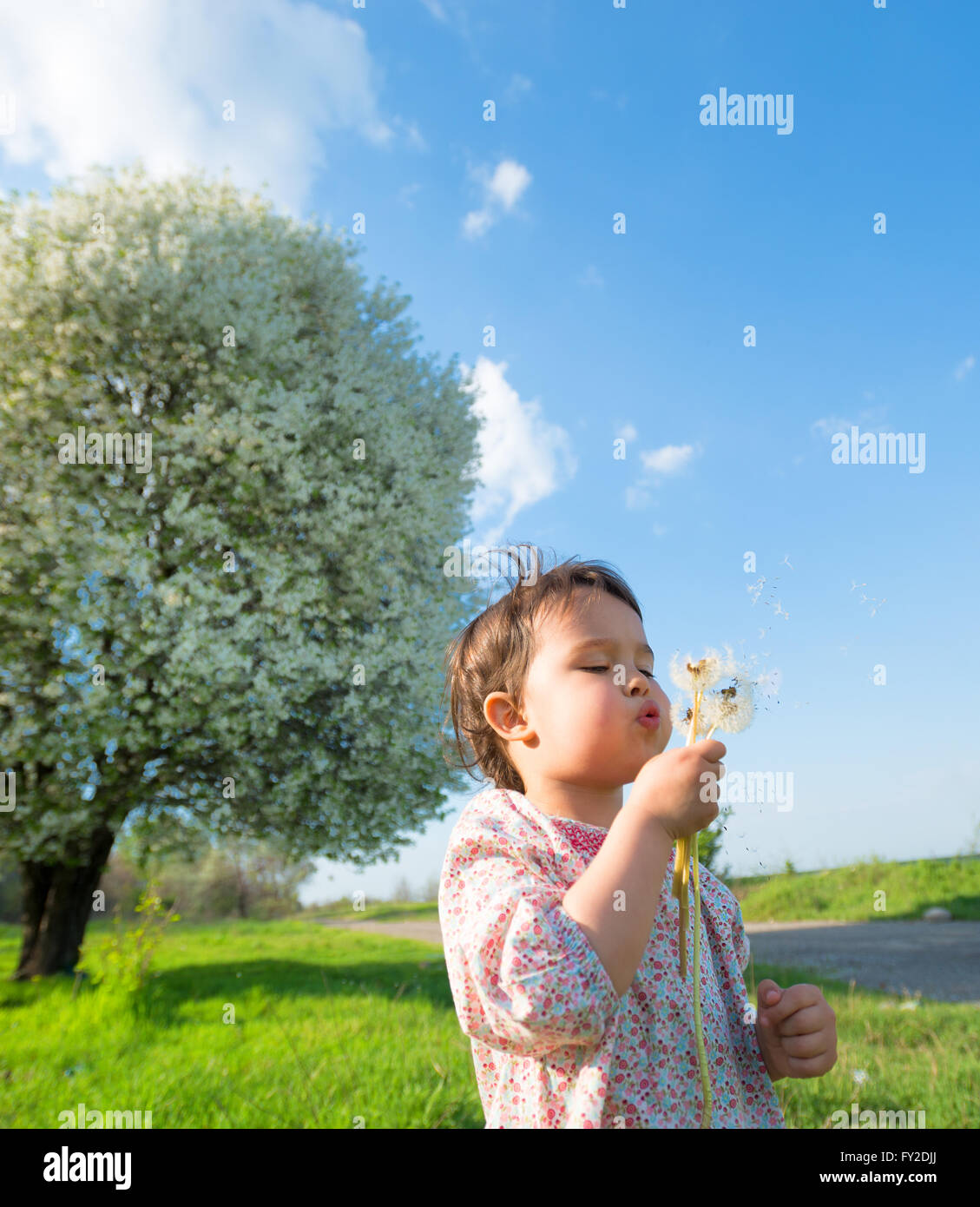 girl with a dandelion outdoor Stock Photo - Alamy