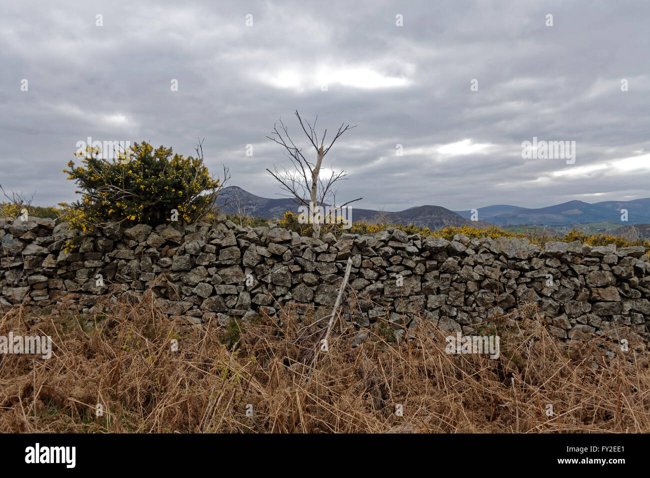Little sugar loaf ireland hi-res stock photography and images - Alamy Little sugar loaf ireland hi-res stock photography and images - Alamy