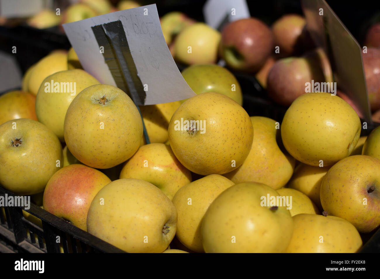 golden apples for sale at farmers market Stock Photo - Alamy
