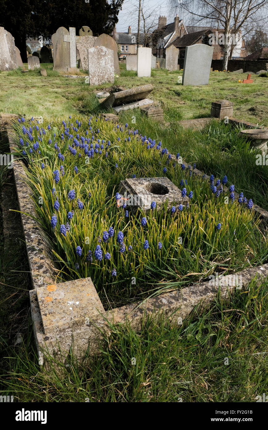 Graves and tombs seen in a famous English cemetery Stock Photo - Alamy