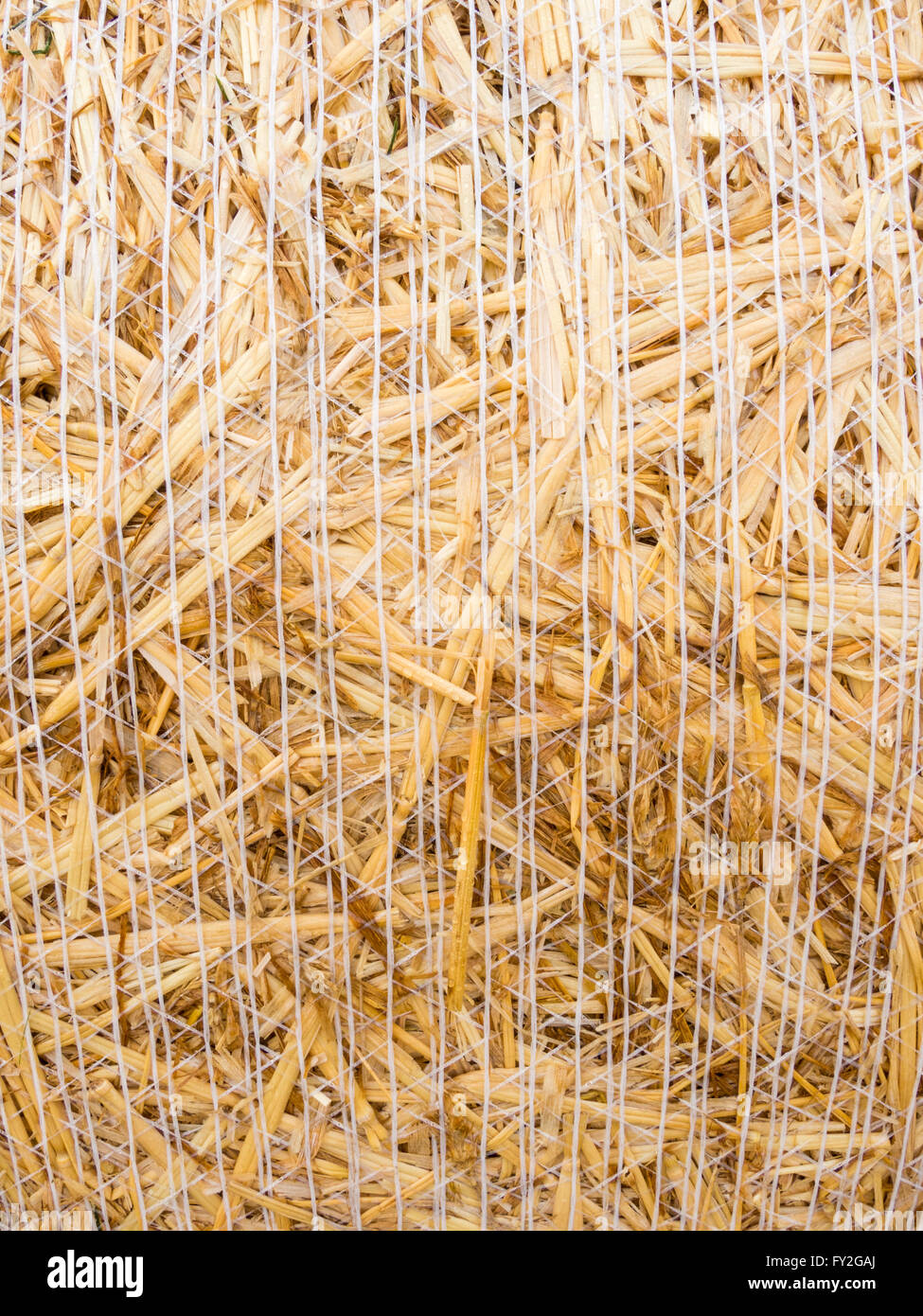 Straw net hi-res stock photography and images - Alamy