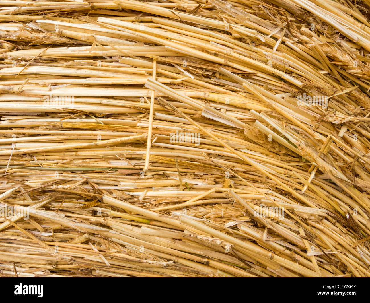 Agriculture round bale hi-res stock photography and images - Alamy