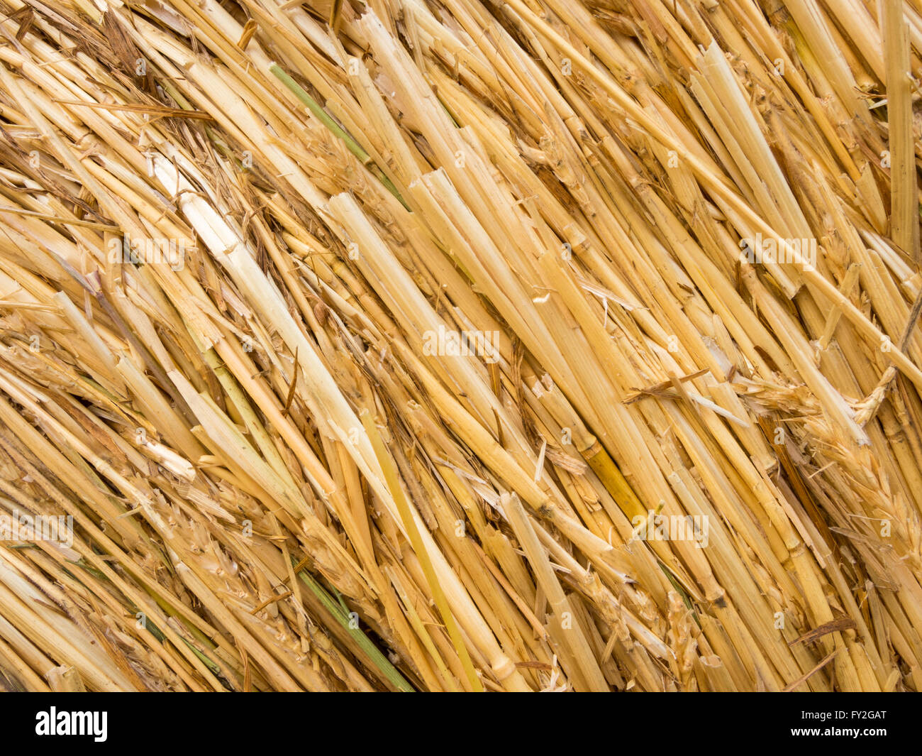 Agriculture round bale hi-res stock photography and images - Alamy