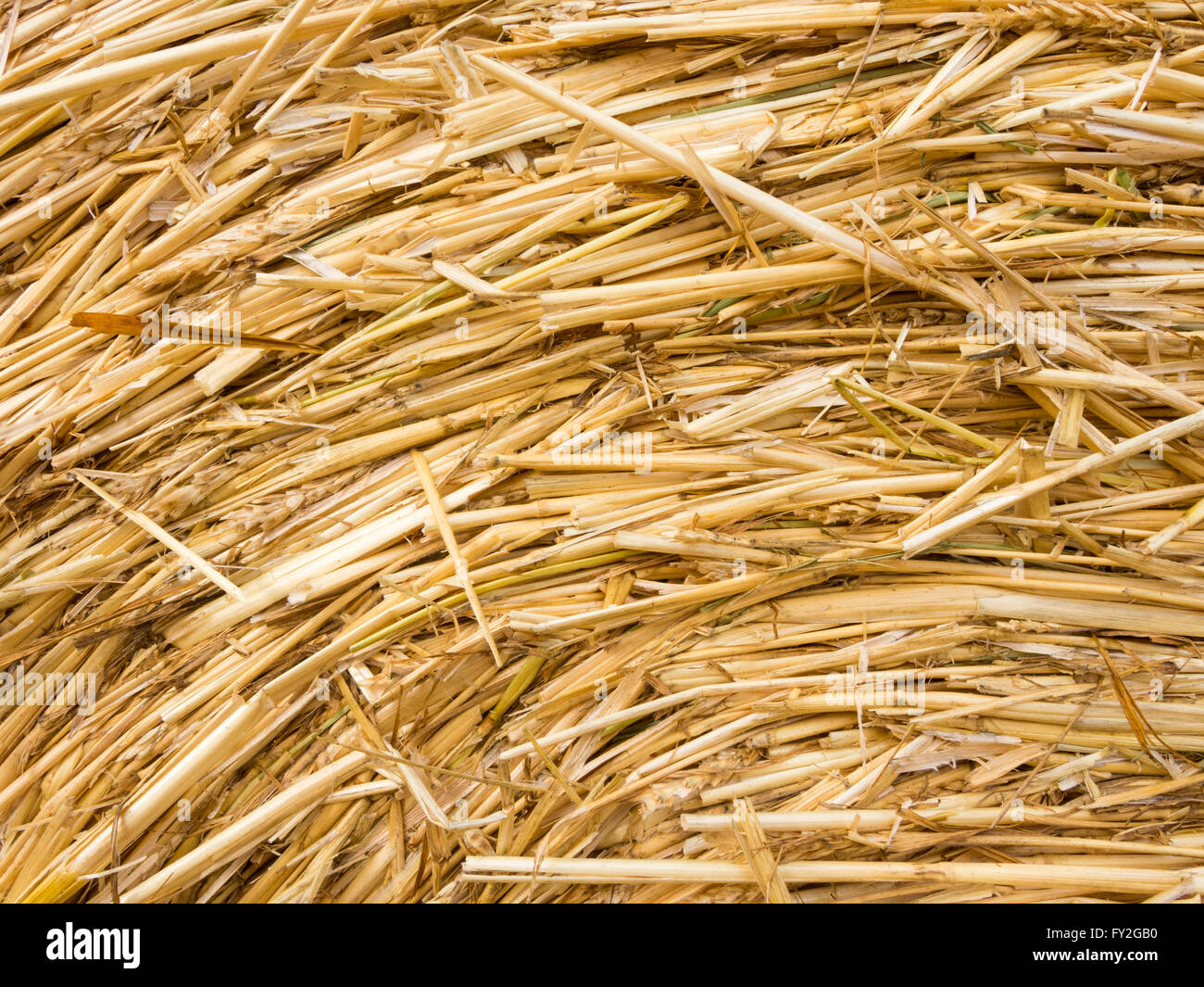 Straw bale detail hi-res stock photography and images - Alamy