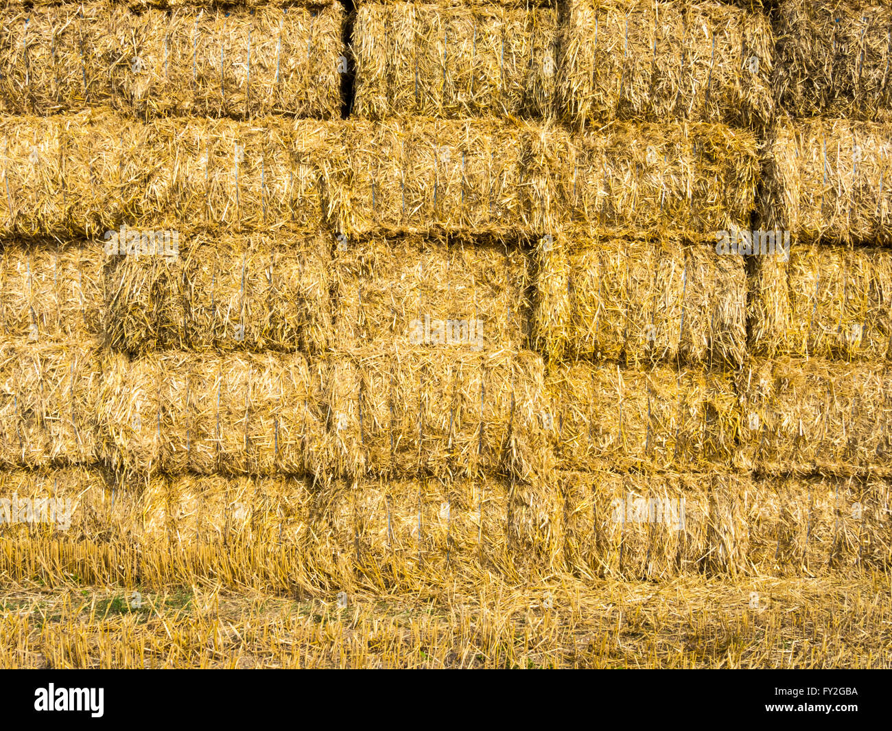 Stack stalk hi-res stock photography and images - Alamy