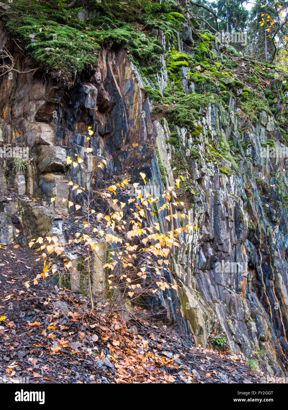 Geological outcrop hi-res stock photography and images - Alamy