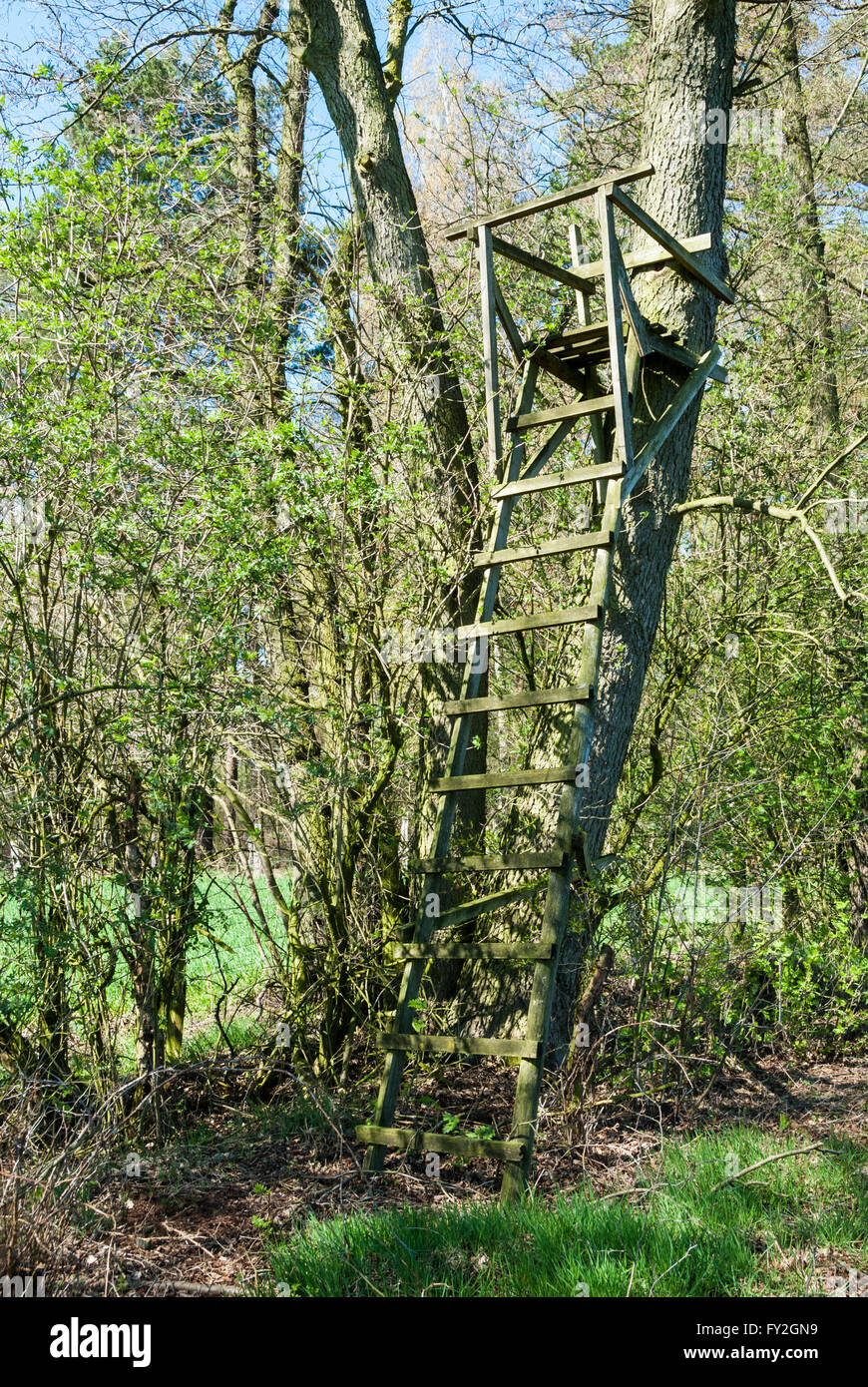 Fence on ladder hi-res stock photography and images - Alamy