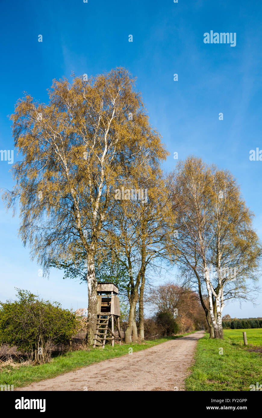 Stand by wood fence hi-res stock photography and images - Alamy