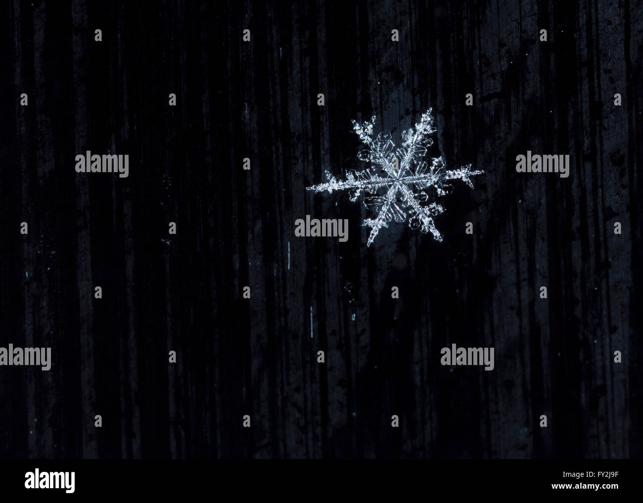 real snowflakes in color lighting Stock Photo - Alamy