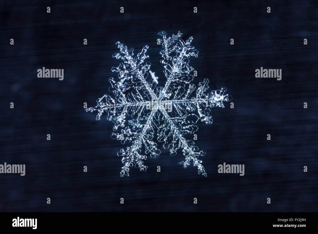 real snowflakes in color lighting Stock Photo - Alamy