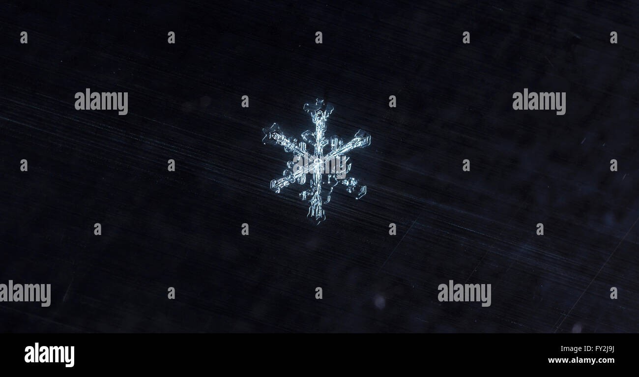 real snowflakes in color lighting Stock Photo - Alamy
