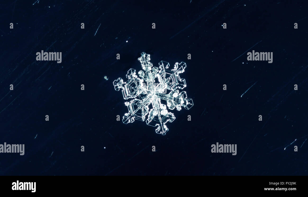 real snowflakes in color lighting Stock Photo - Alamy