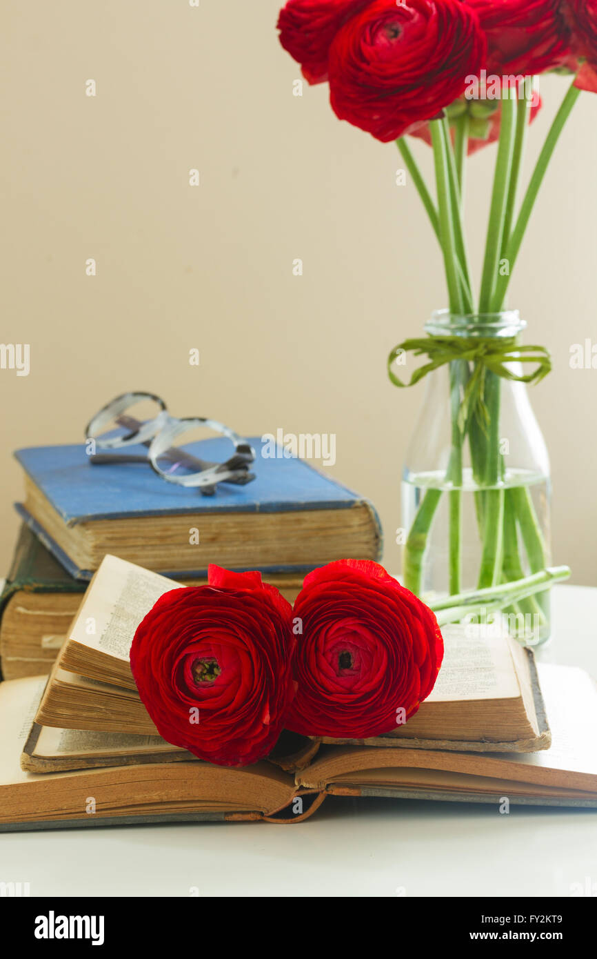 Old books with red flower Stock Photo - Alamy