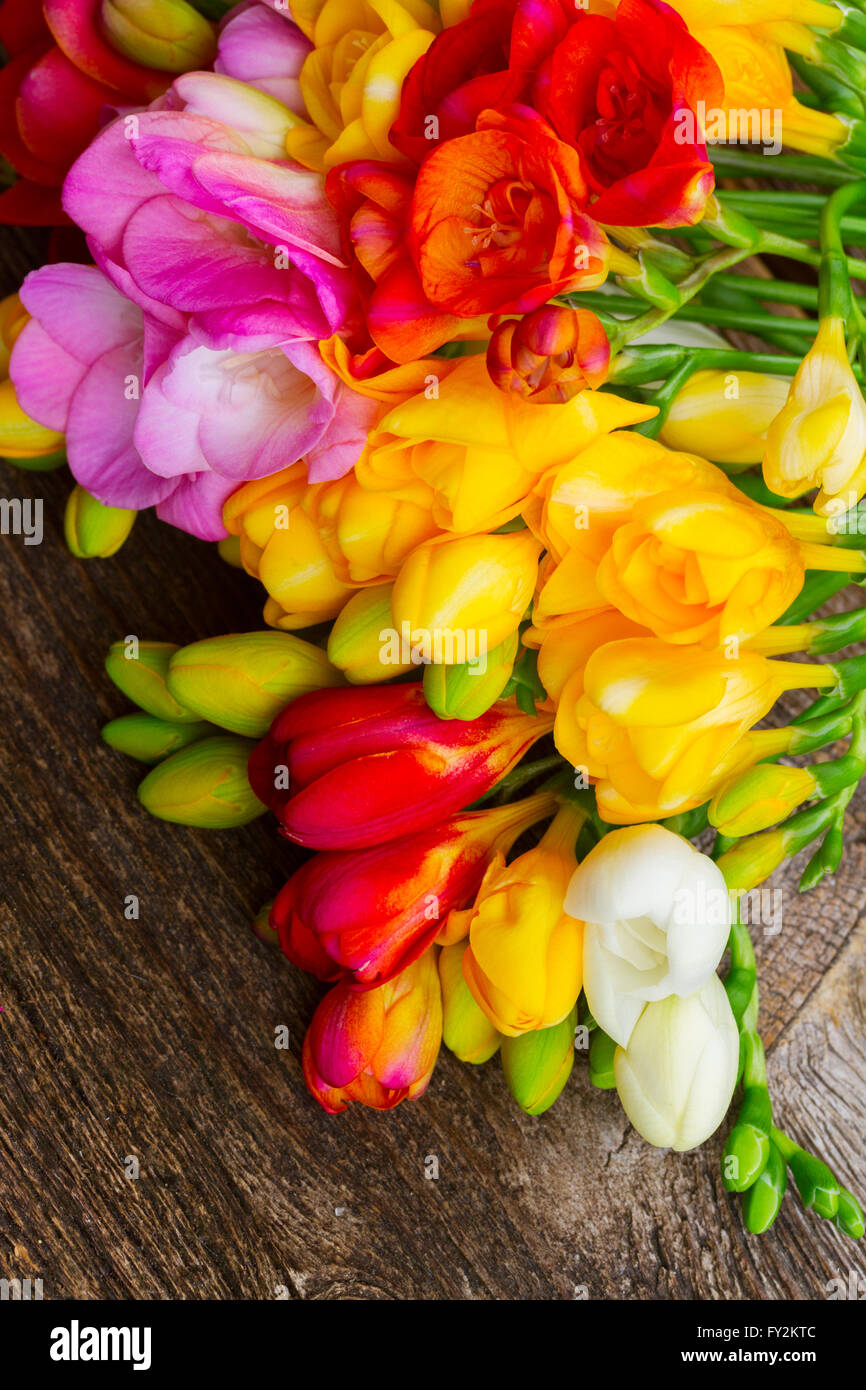 Fresh freesia flowers Stock Photo - Alamy