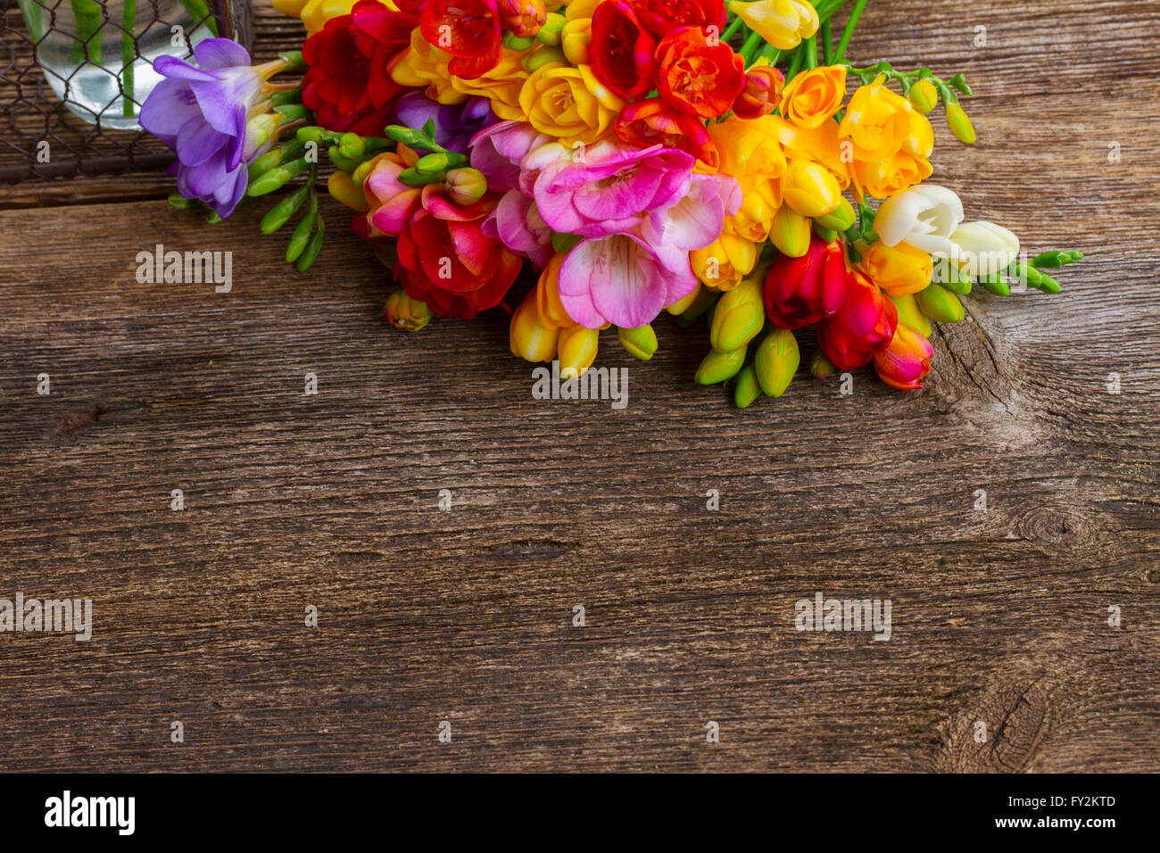 Freesias garden border hi-res stock photography and images - Alamy