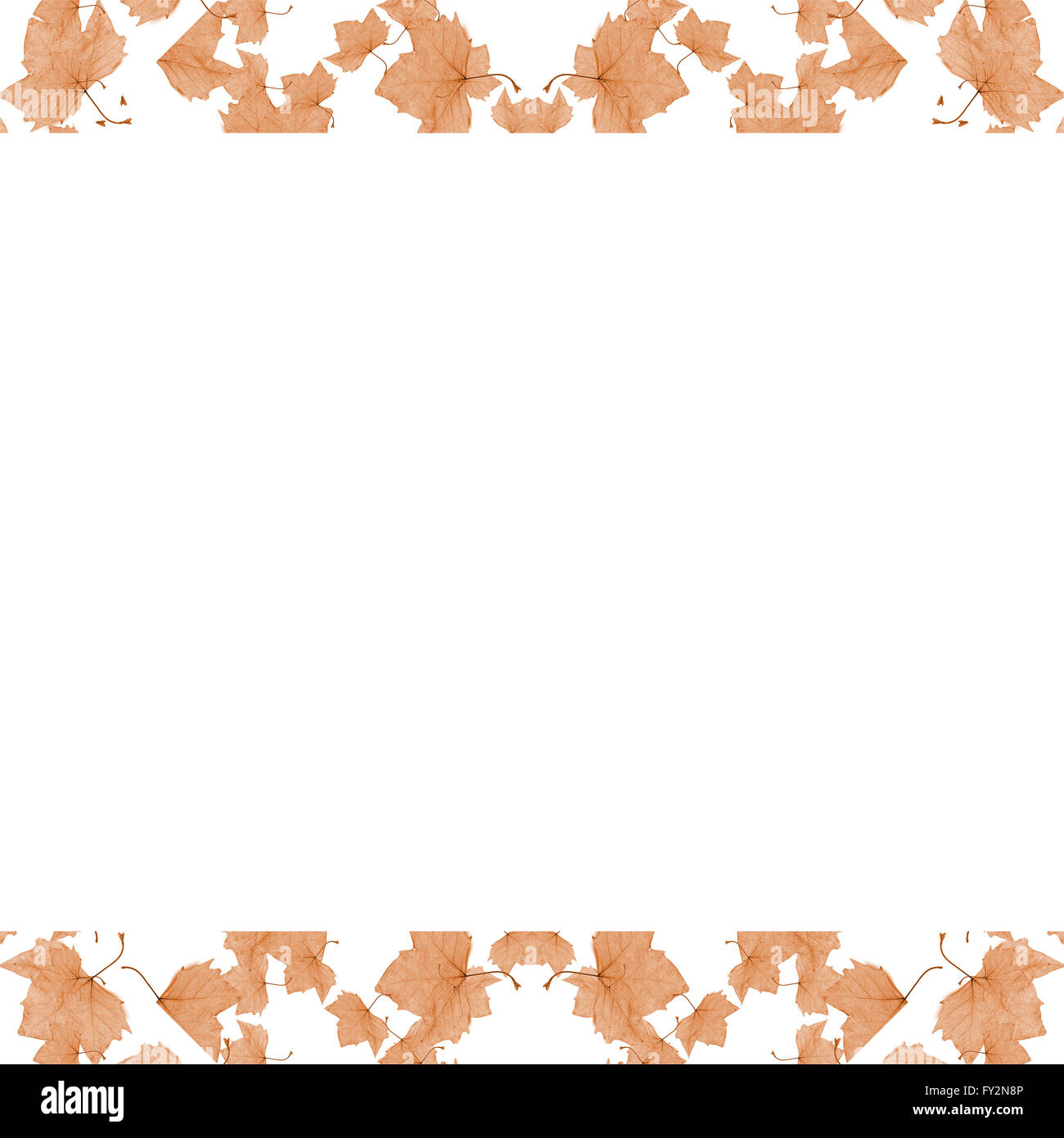 White background frame with decorated borders floral collage design in ...