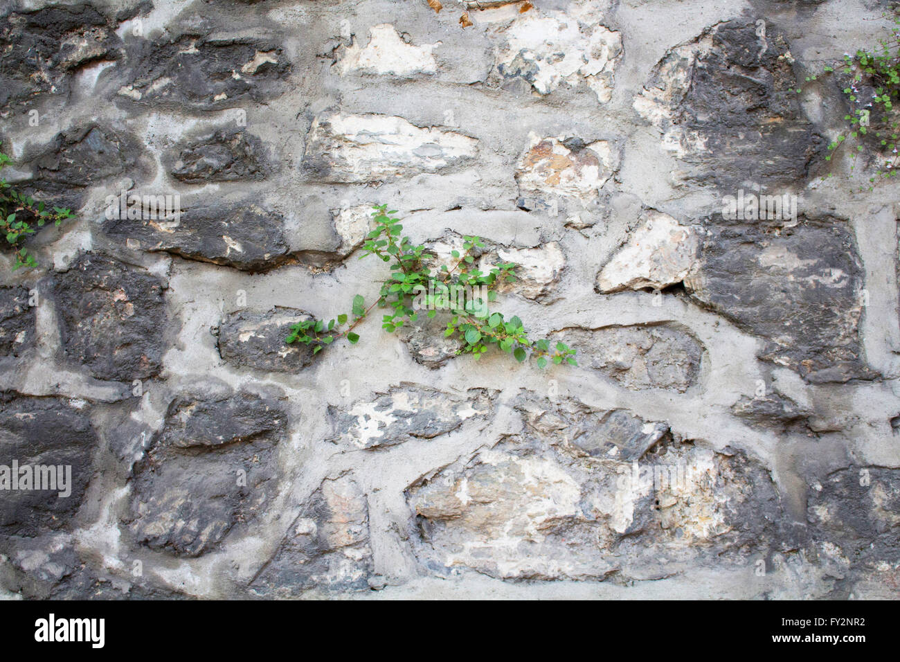 Old stone textured abstract wall Stock Photo - Alamy