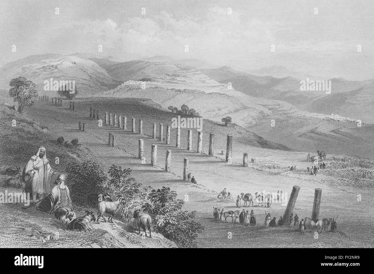 ISRAEL: Colonnade, Sebaste, Samaria-Bartlett, antique print 1847 Stock ...