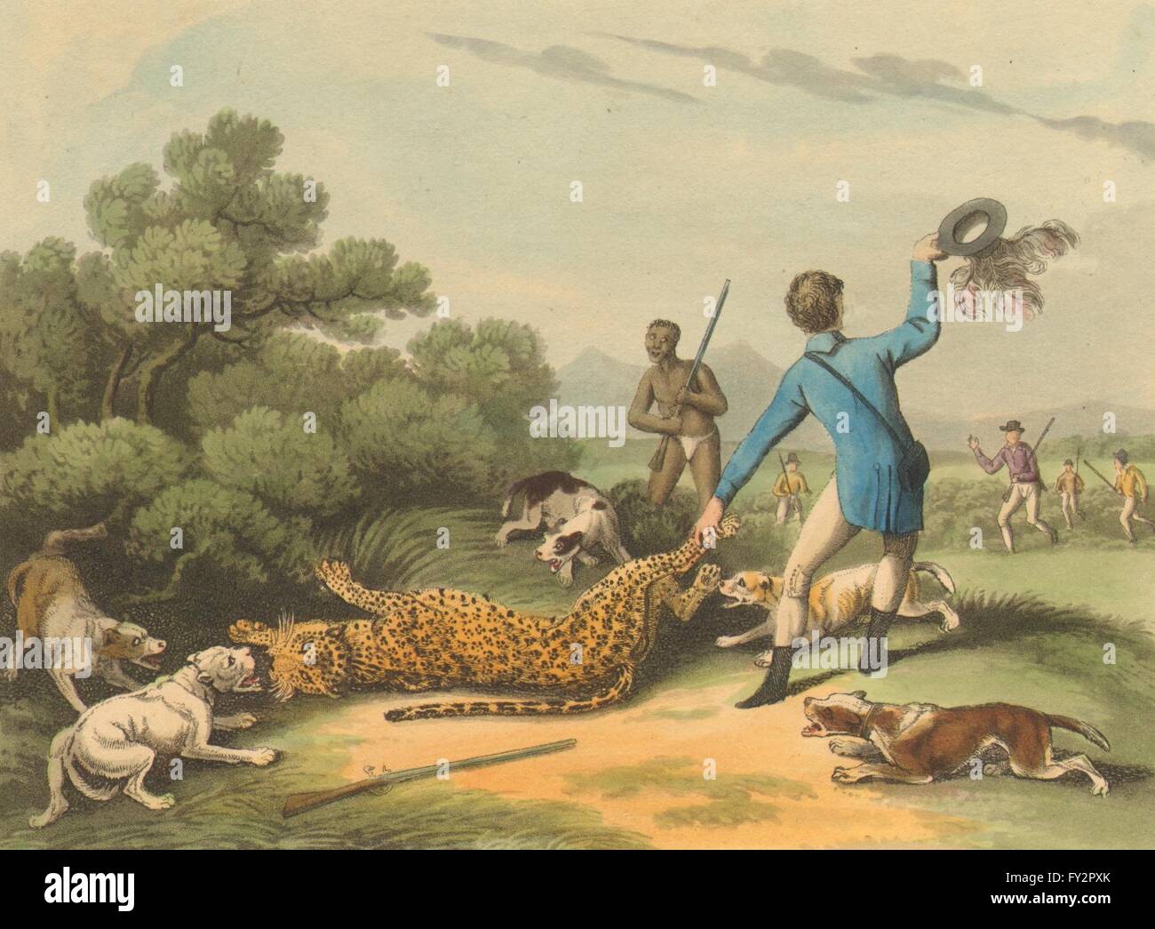 Vintage africa hunting drawings hi-res stock photography and images - Alamy