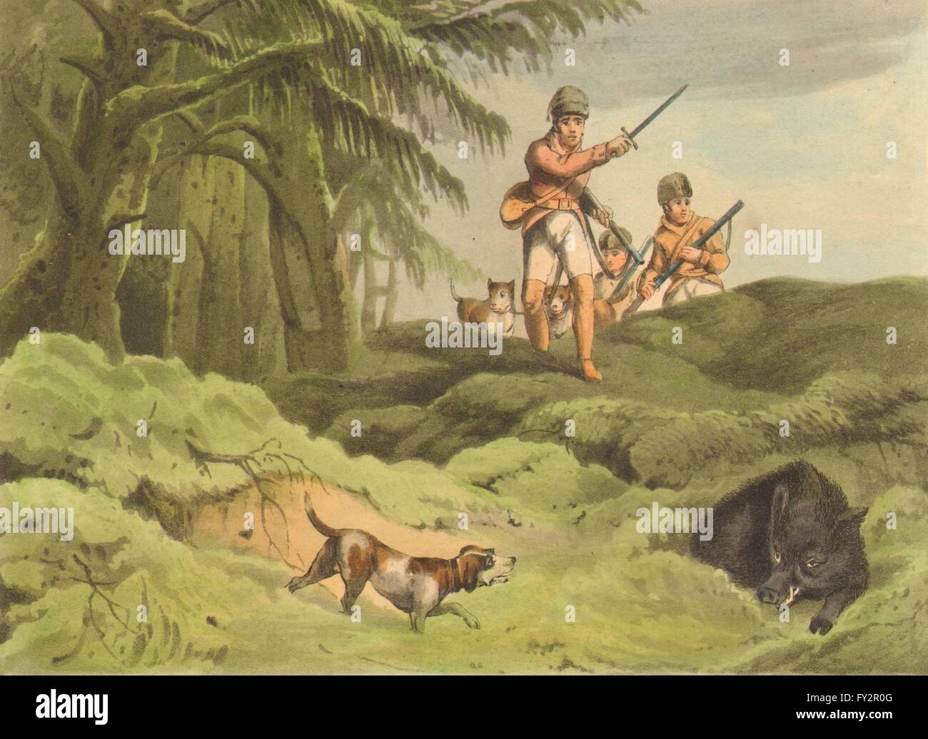 Foreign rifles hi-res stock photography and images - Alamy