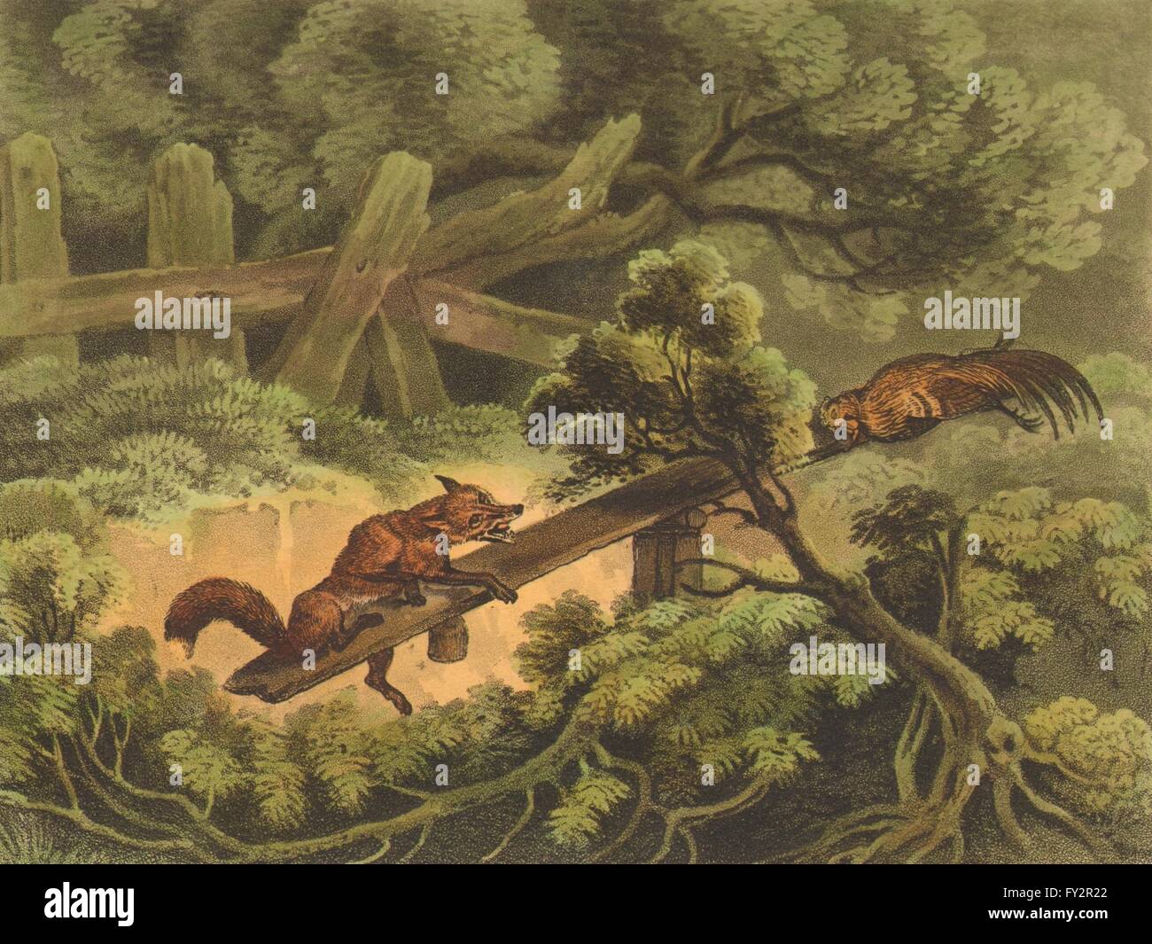 GERMANY: German Fox Trap. Carrion bait (Field Sports- Edward Orme ...