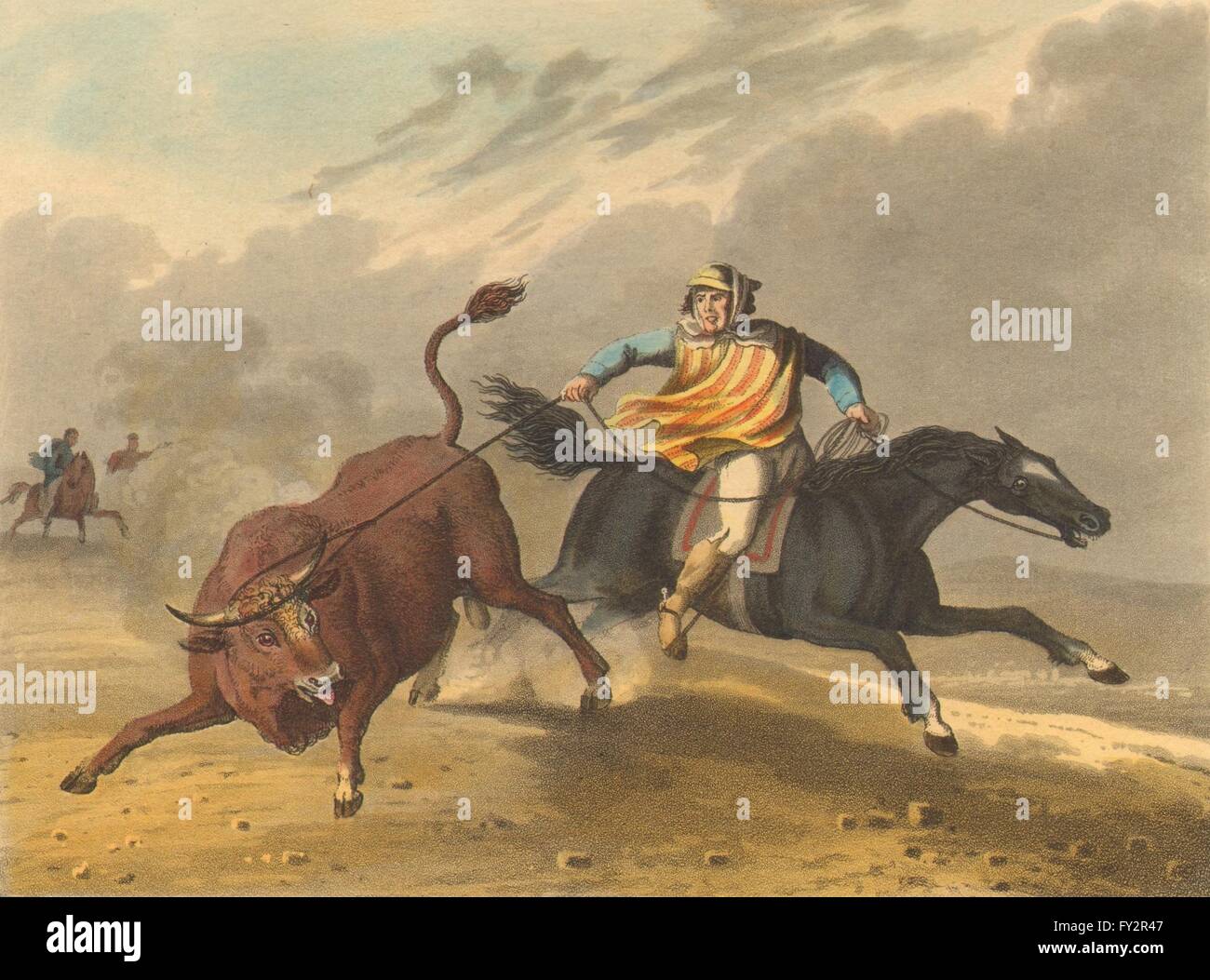 S AMERICA: Pion gaucho cowboy catching wild bull. Horse. (Edward Orme ...