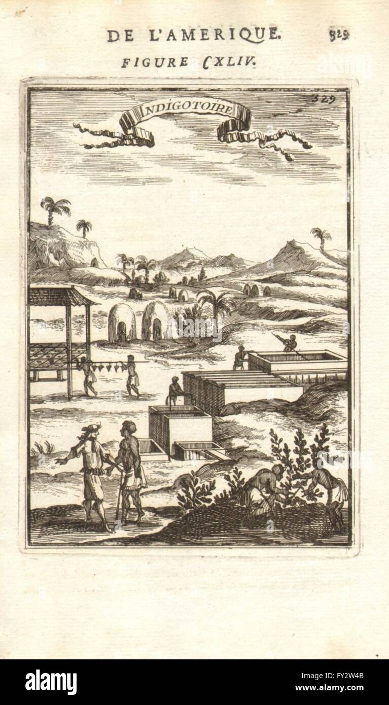 WEST INDIES: Indigofera planter & slaves. Indigo dye. 'Indigotoire ...