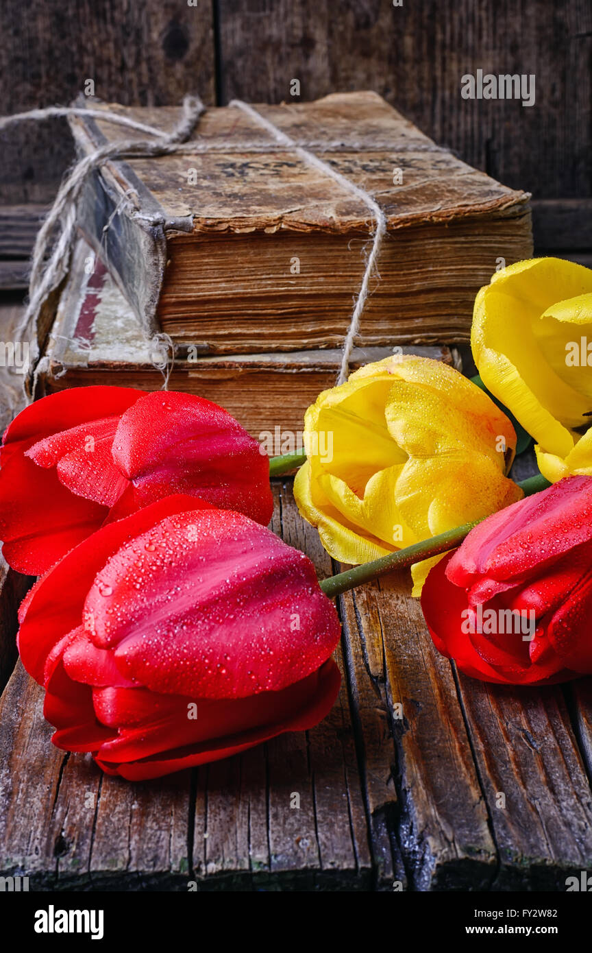 light bouquet of red tulips and retro book Stock Photo - Alamy