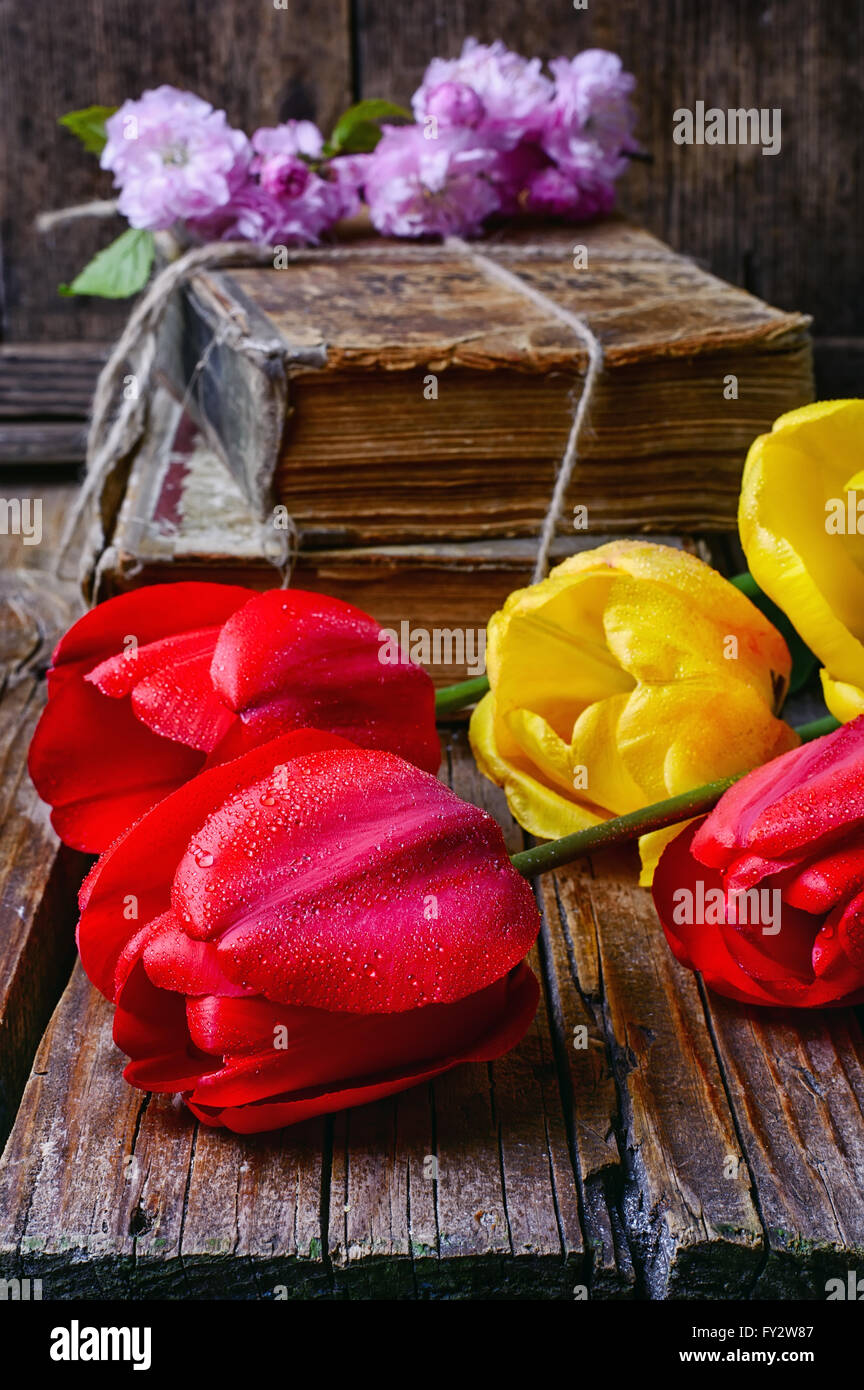 light bouquet of red tulips and retro book Stock Photo - Alamy