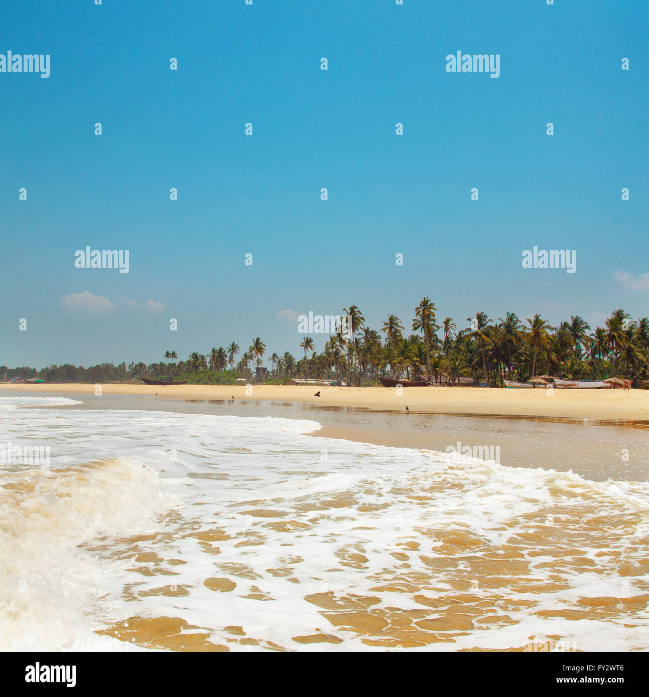 Goan landscape hi-res stock photography and images - Alamy
