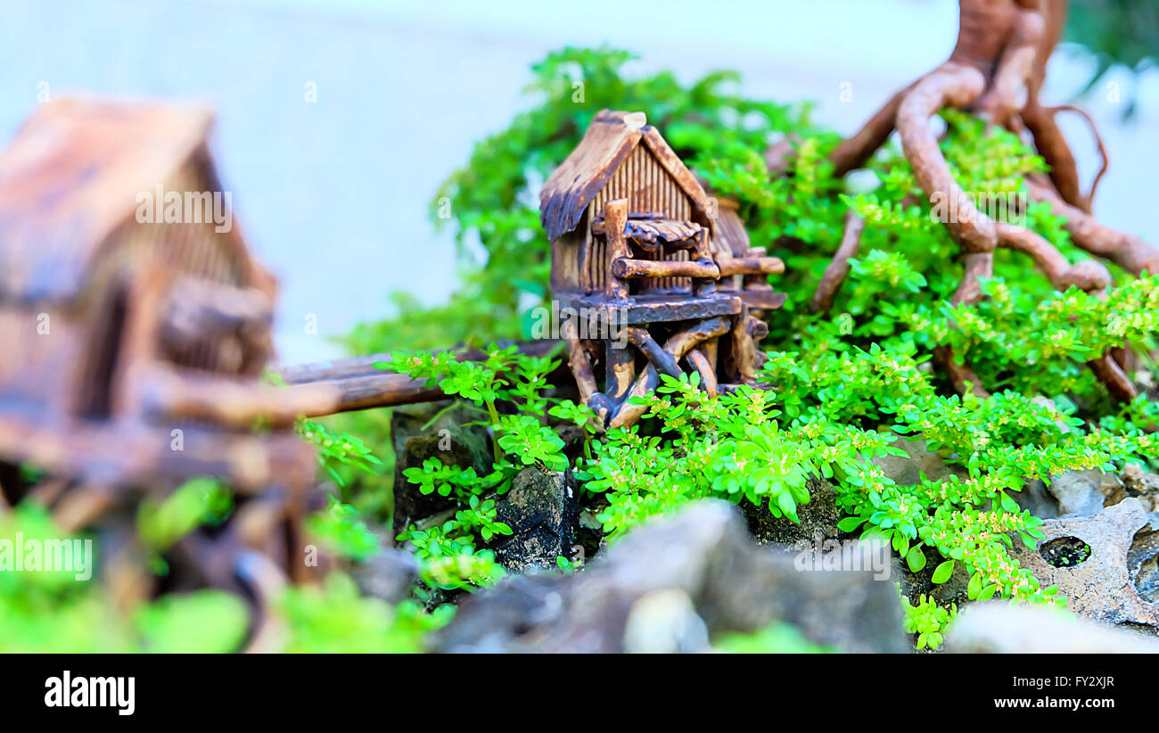 Model trees display hi-res stock photography and images - Alamy