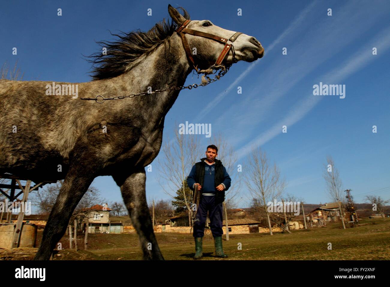 Bulgarians ride their horses during a race as celebration of Todorov ...
