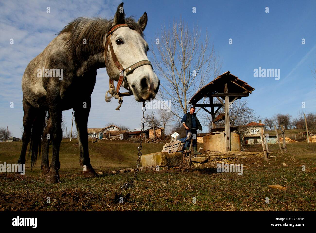 Bulgarians ride their horses during a race as celebration of Todorov ...